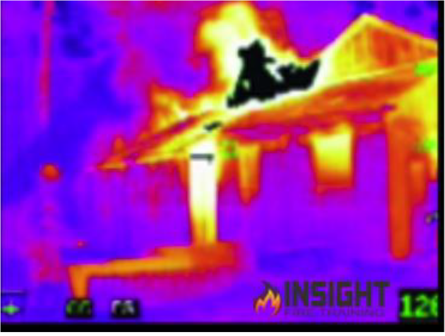 MSA ITIC: An In-Depth Look at Color Palettes - Insight Training LLC