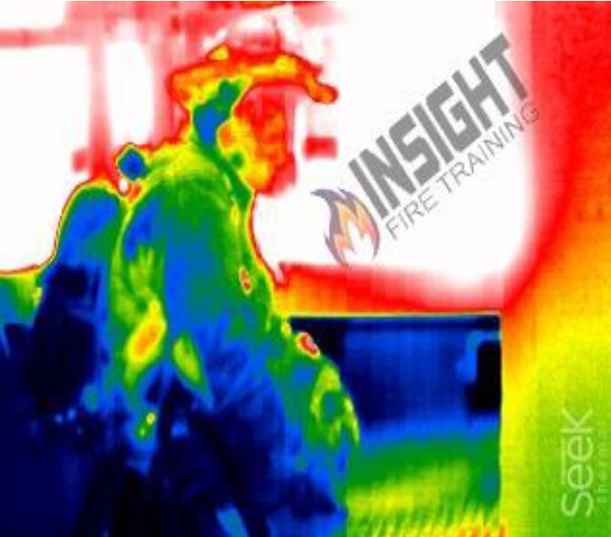 MSA ITIC: An In-Depth Look at Color Palettes - Insight Training LLC